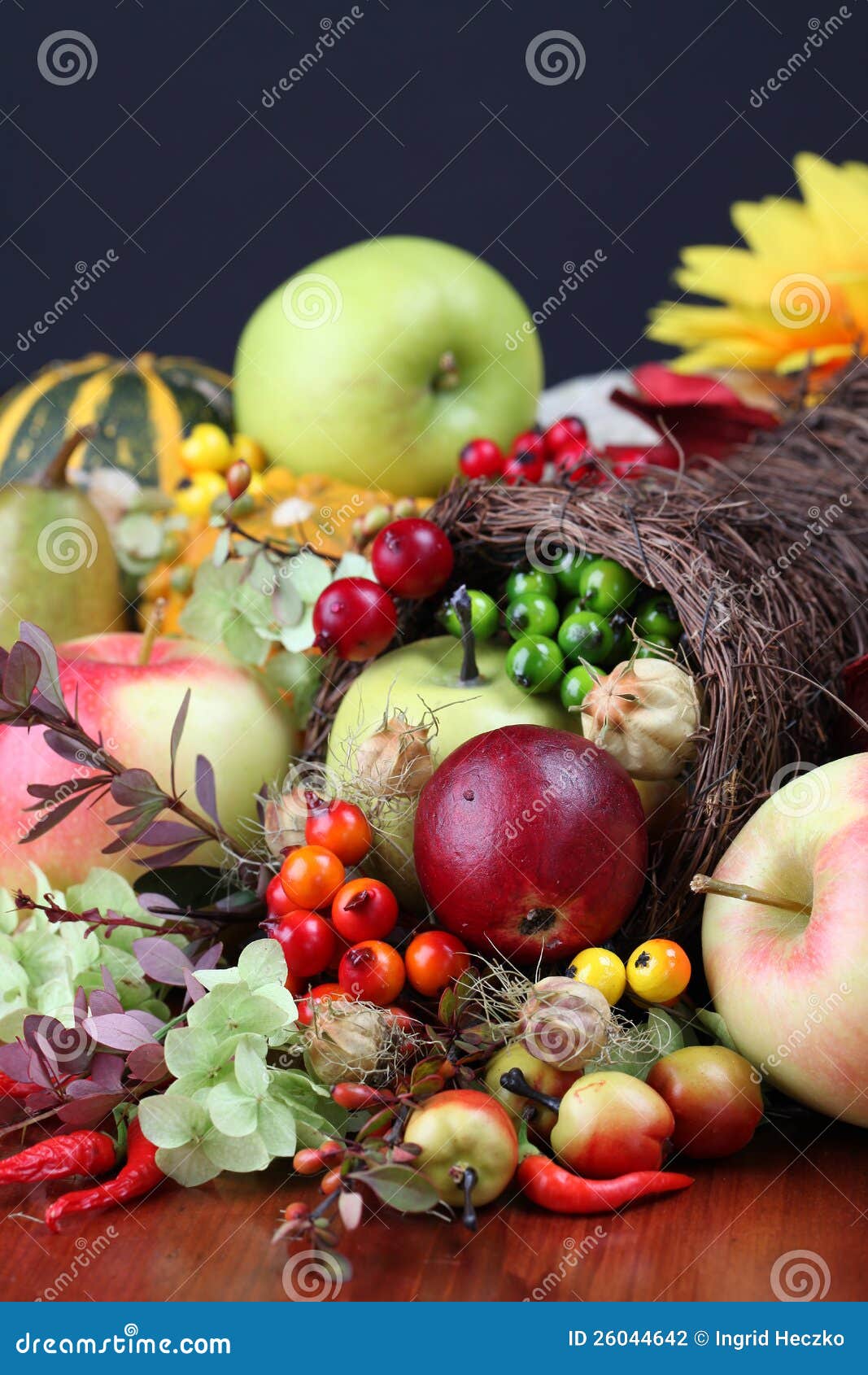 Cornucopia stock photo. Image of pear, colorful, bright - 26044642