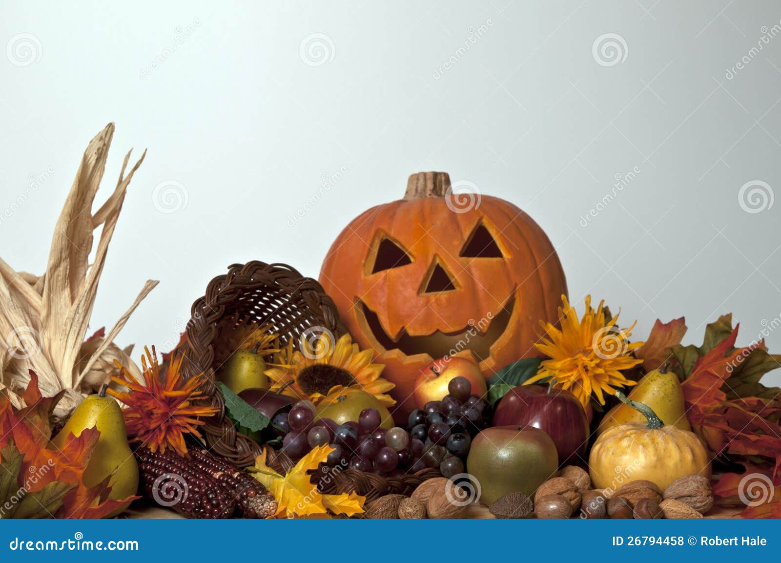 Cornucopia stock photo. Image of fall, corn, nuts, halloween - 26794458