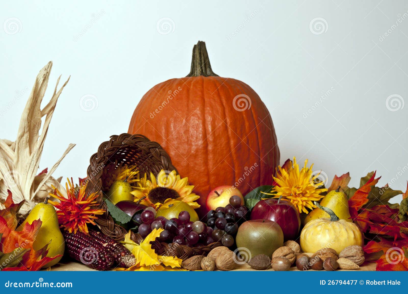 Cornucopia stock image. Image of nuts, fall, celebrate - 26794477