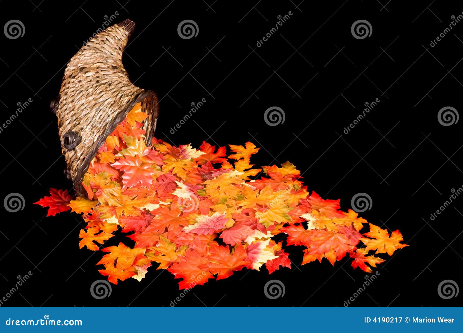 Cornucopia 3 stock image. Image of seasonal, change, nature - 4190217