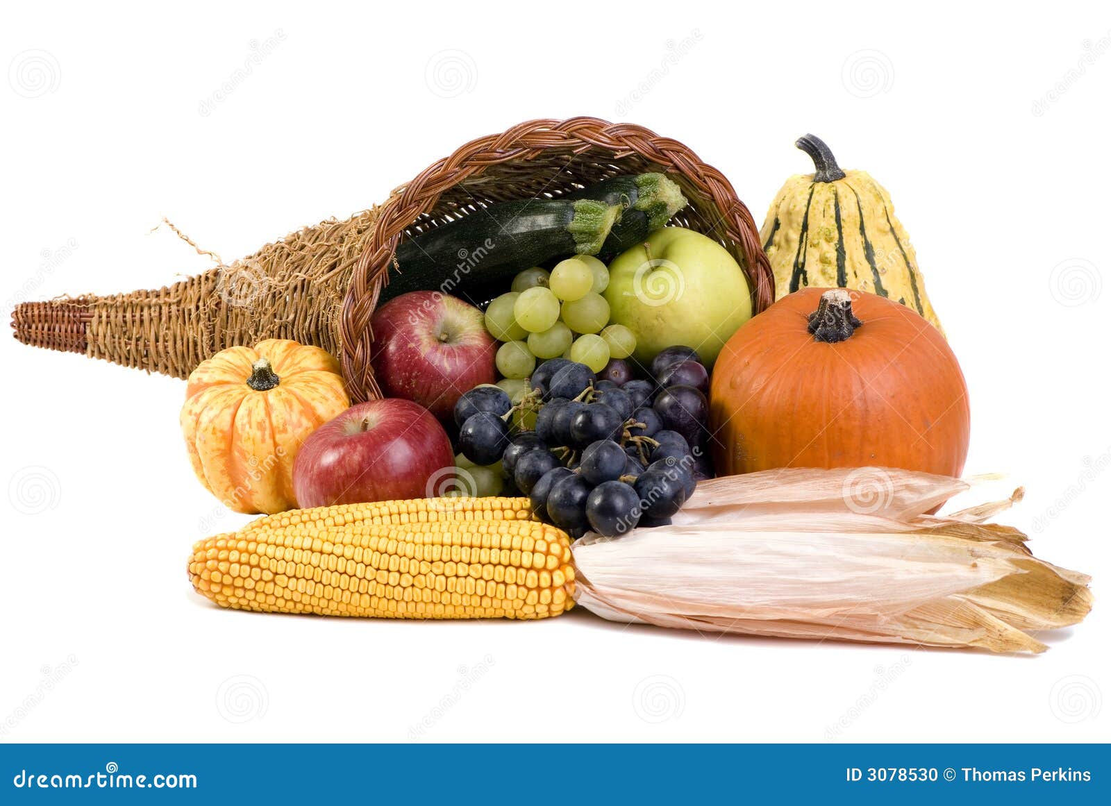 Cornucopia stock photo. Image of dried, nourishment, bountiful - 3078530