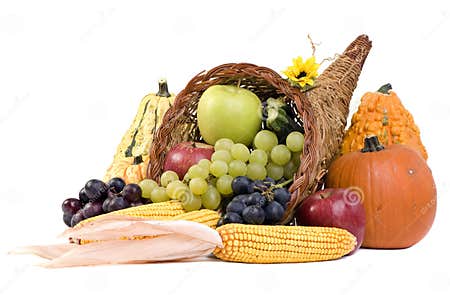 Cornucopia stock photo. Image of horn, gourd, cornicopia - 3078536