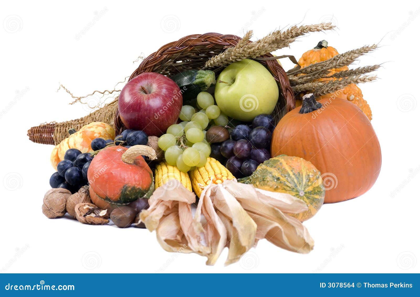 Cornucopia stock photo. Image of thanksgiving, nourishment - 3078564