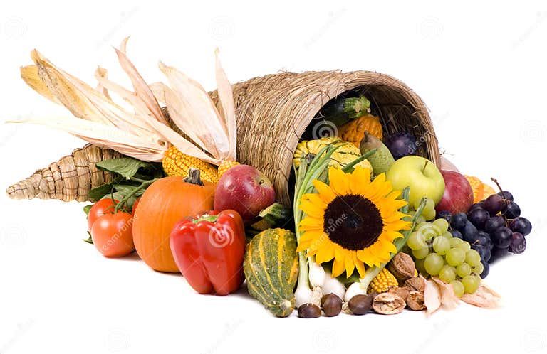 Cornucopia stock photo. Image of grapes, gourds, harvest - 3104268