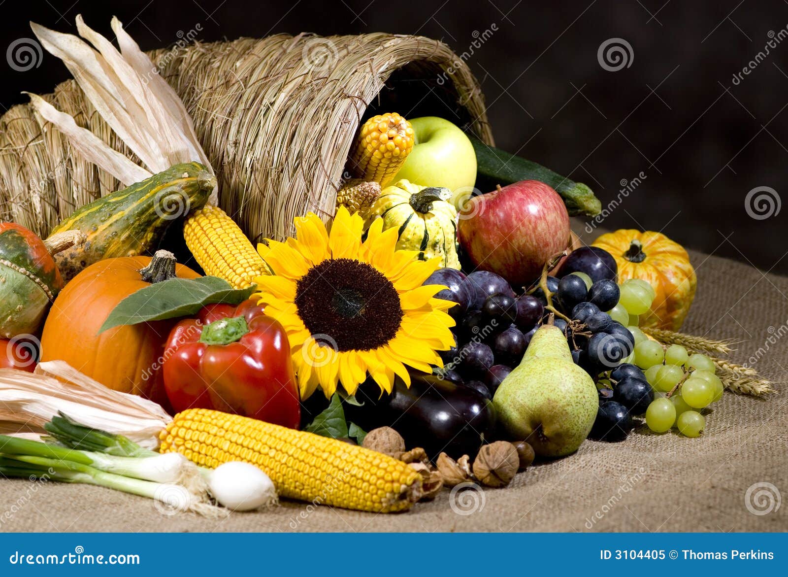 Cornucopia stock image. Image of kernel, cornucopia, nourishment - 3104405