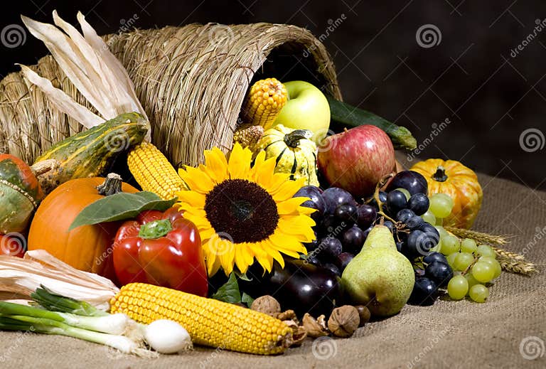 Cornucopia stock image. Image of kernel, cornucopia, nourishment - 3104405