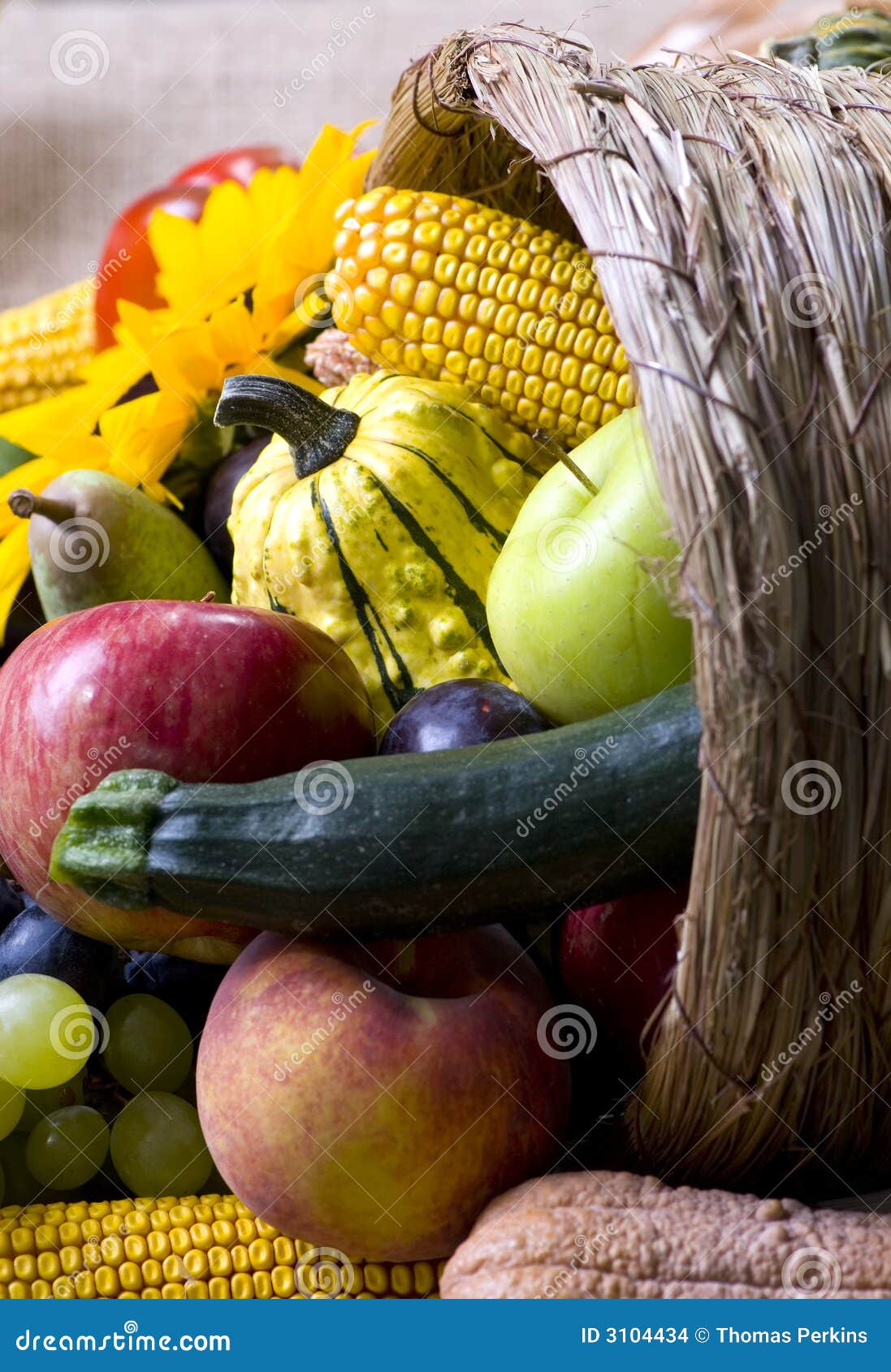 Cornucopia stock photo. Image of apple, feast, pilgrims - 3104434