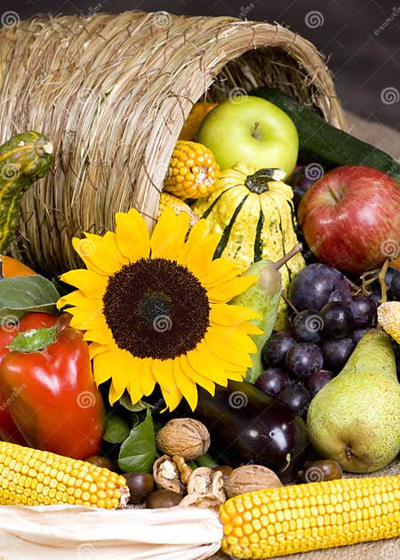 Cornucopia stock photo. Image of cornucopia, apple, nourishment - 3104442