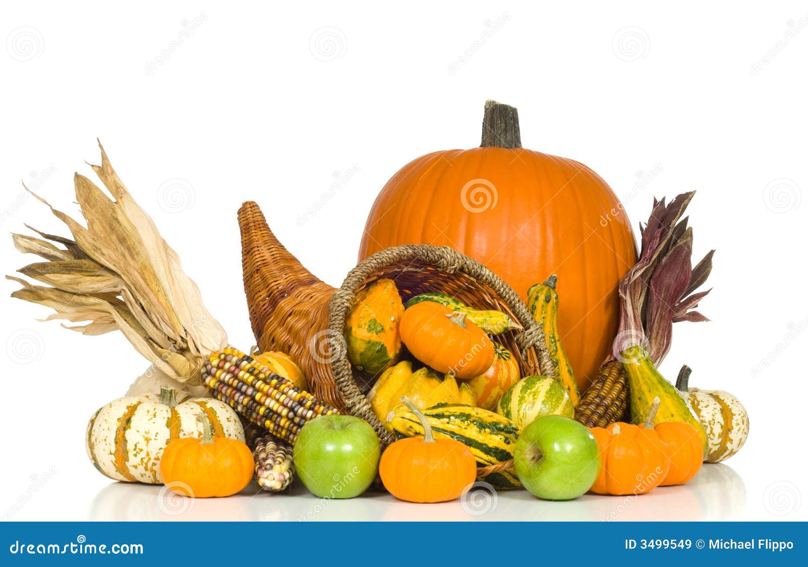 Cornucopia Royalty Free Stock Images - Image: 3499549
