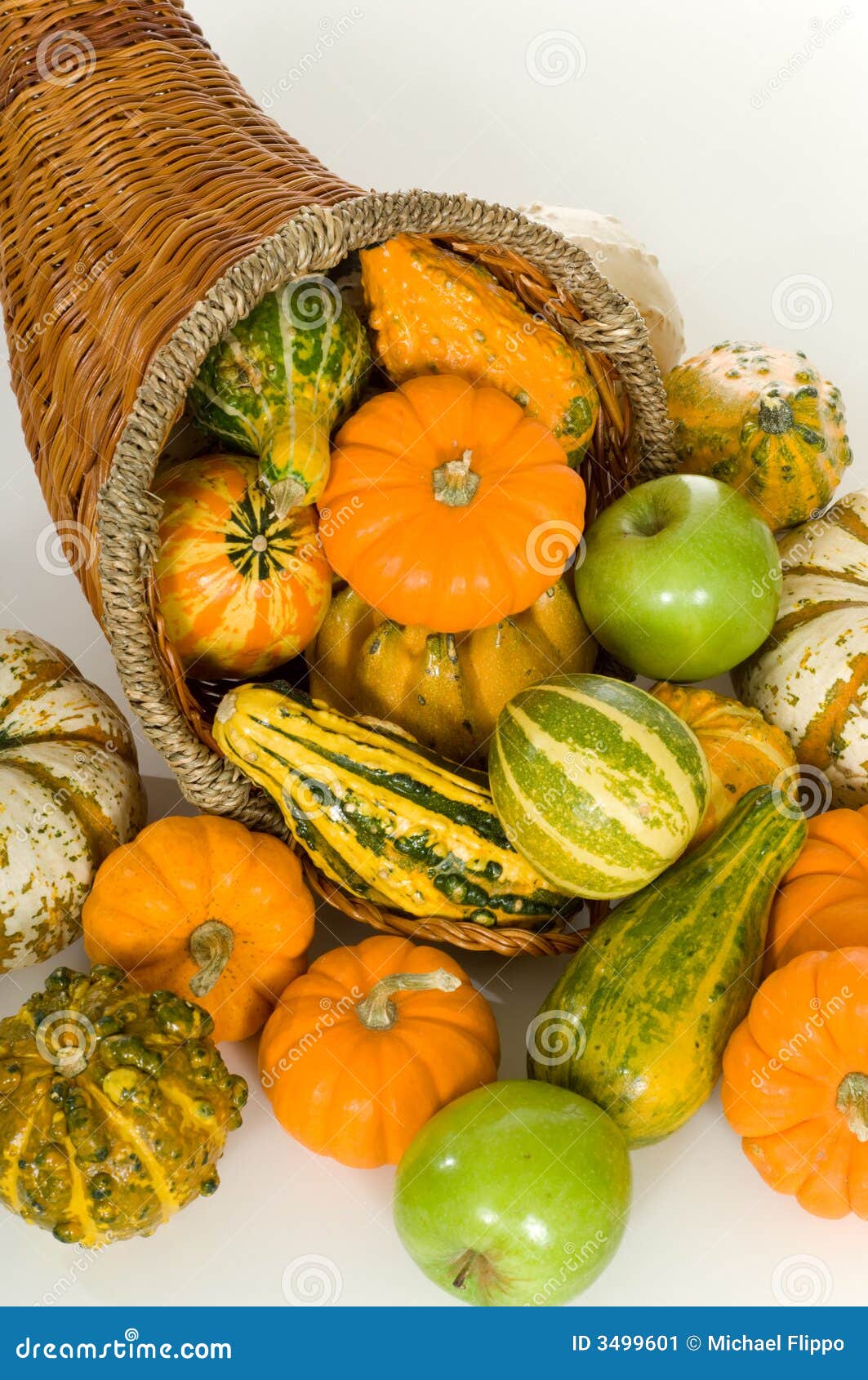 Cornucopia stock image. Image of apple, pumpkins, pumpkin - 3499601