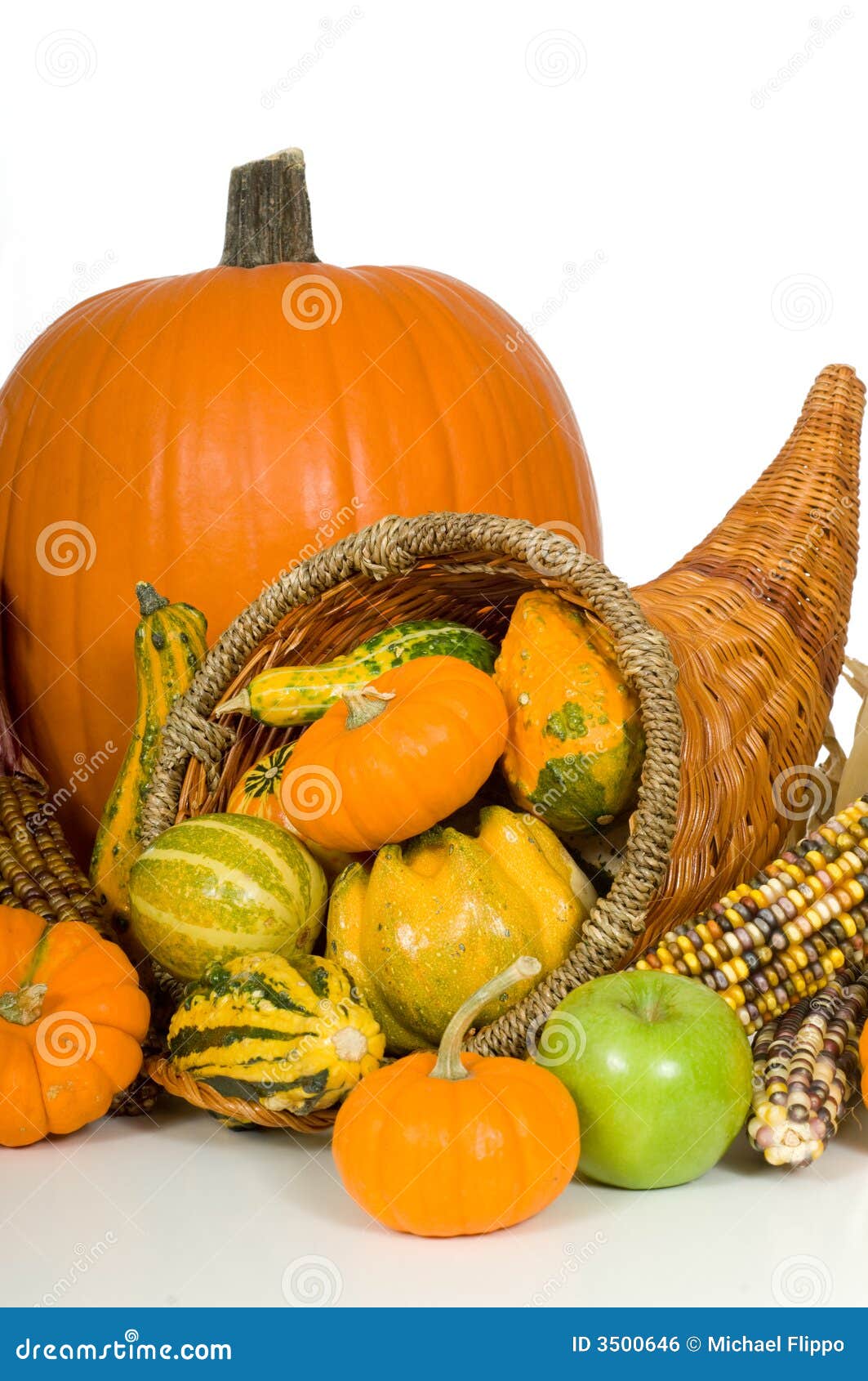 Cornucopia stock photo. Image of corn, symbols, mini, basket - 3500646
