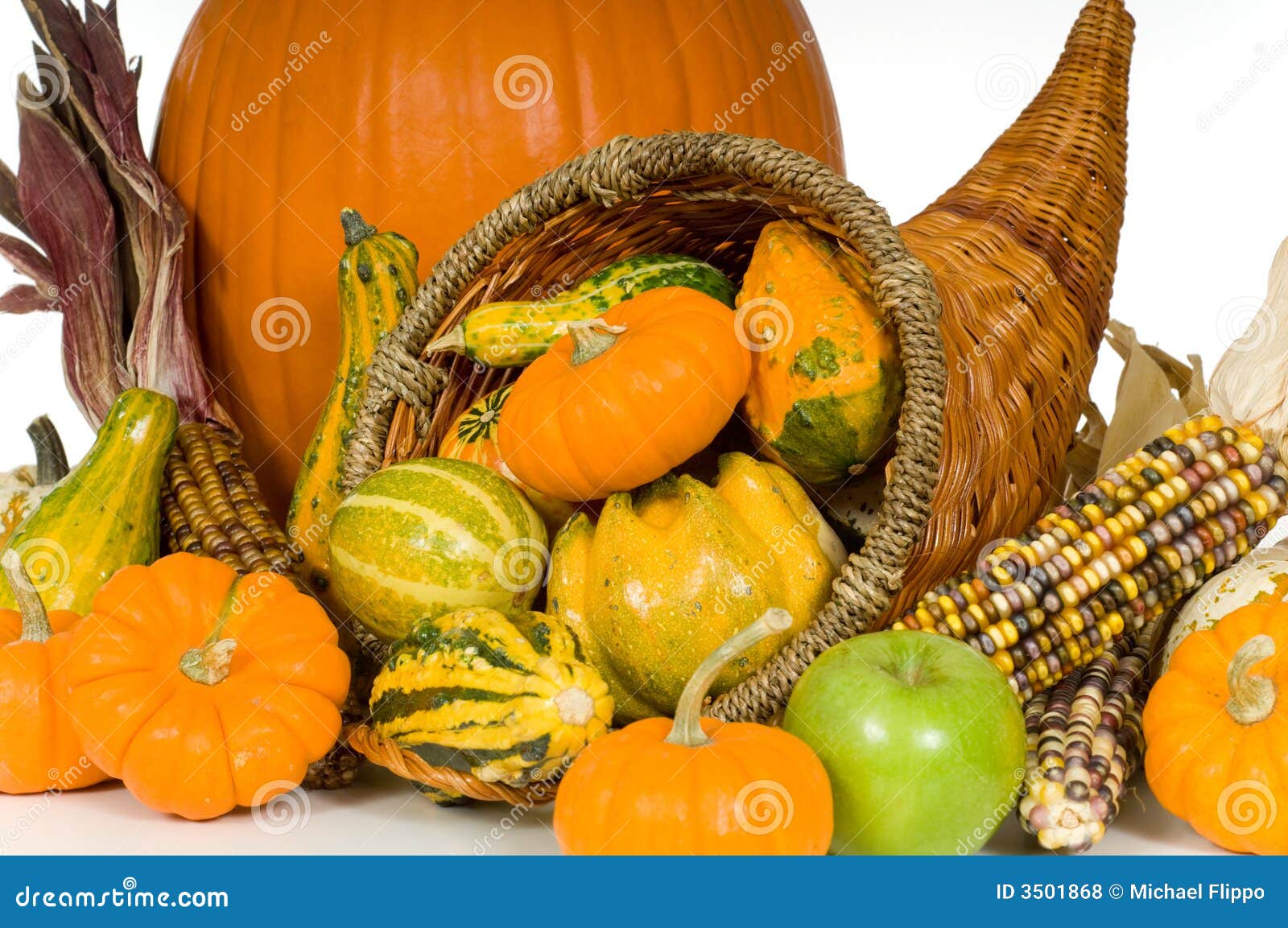 Cornucopia stock photo. Image of fall, pumpkin, abunance - 3501868