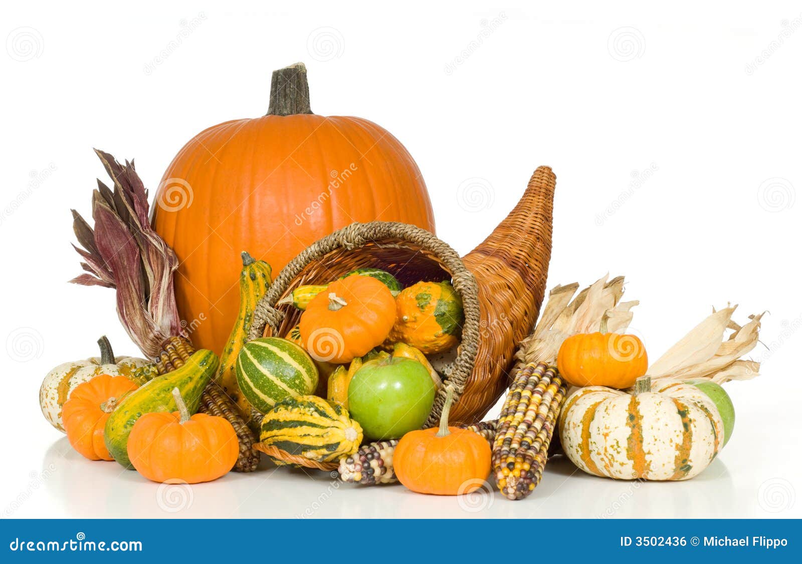 Cornucopia stock photo. Image of provision, symbols, corn - 3502436
