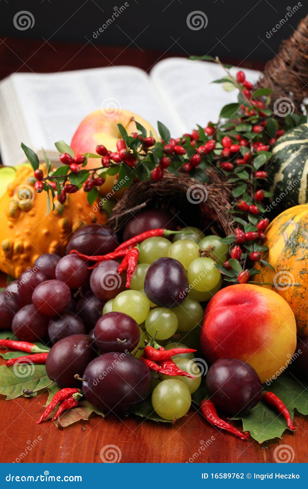 Cornucopia and the Bible stock photo. Image of branch - 16589762