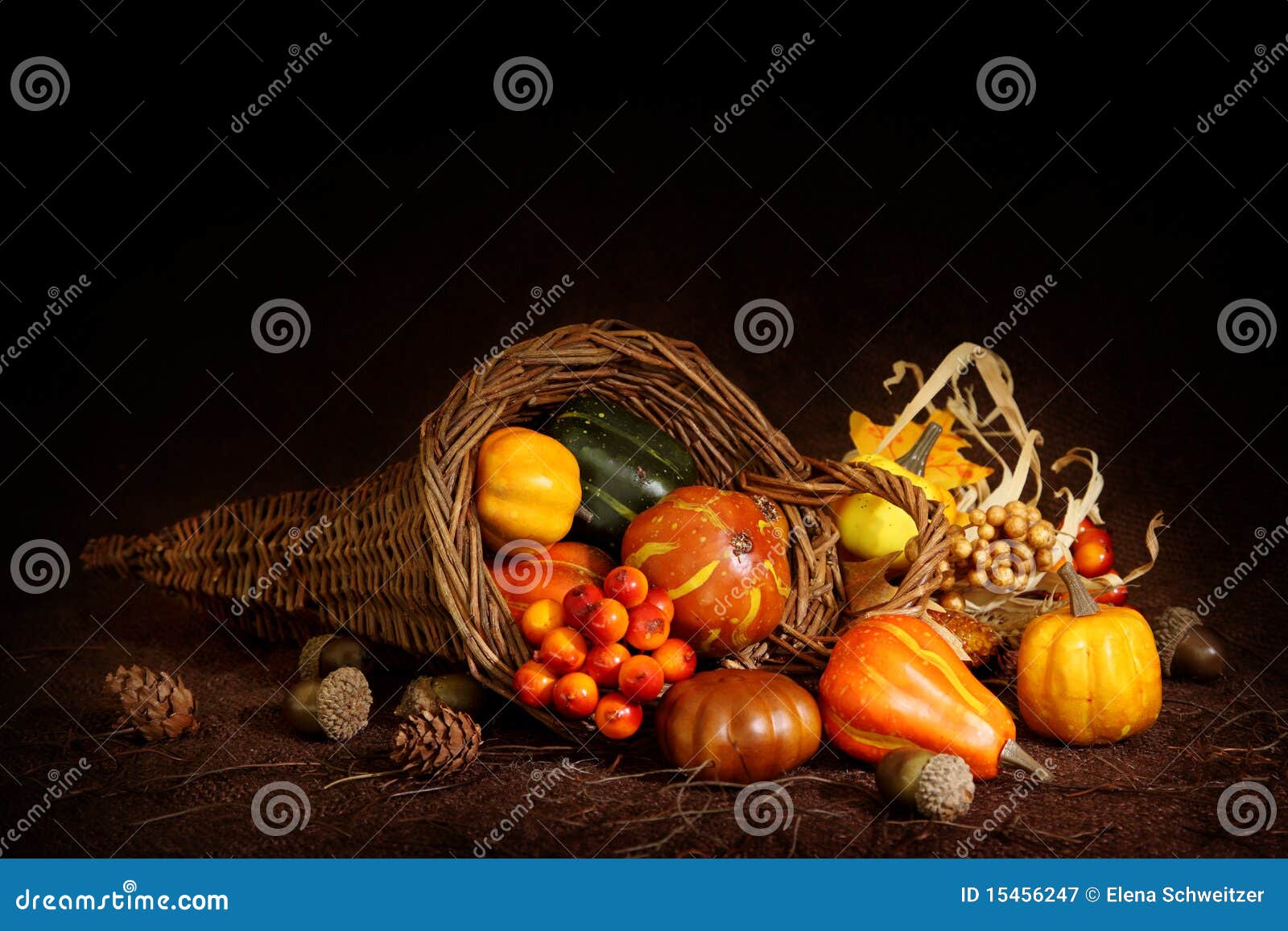 Cornucopia con le zucche immagine stock. Immagine di arancione - 15456247
