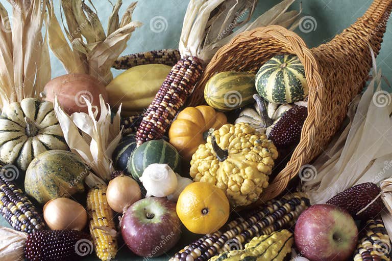 Cornucopia of Fall Decorative Fruits Stock Image - Image of plenty ...