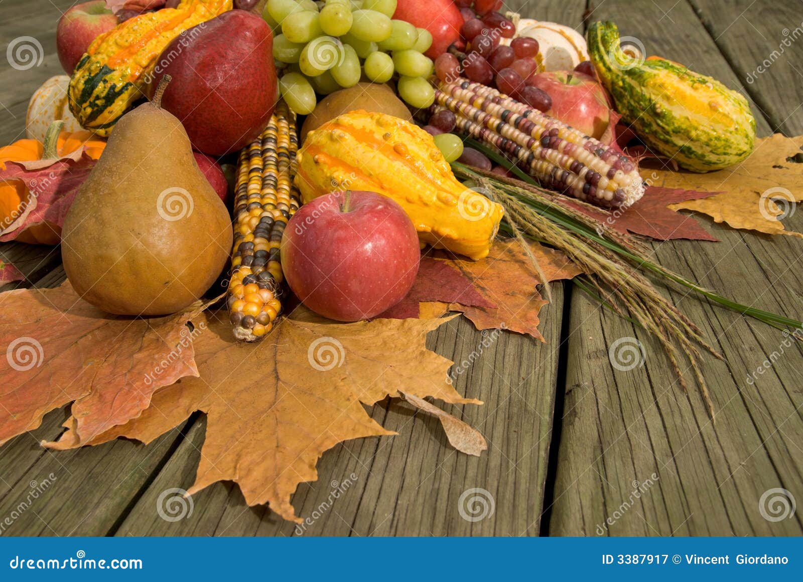 Cornucopia with Fall Harvest Stock Image - Image of squash, october ...