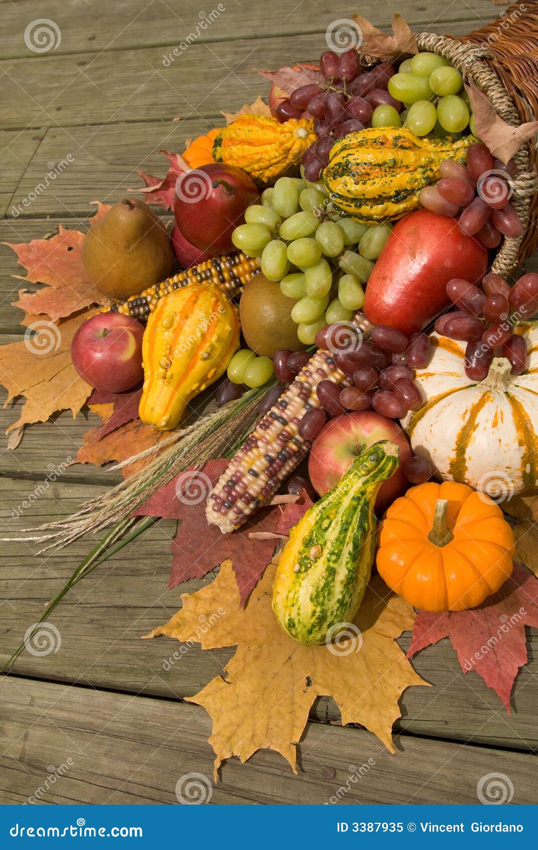 Cornucopia with Fall Harvest Stock Image - Image of eating, healthy ...
