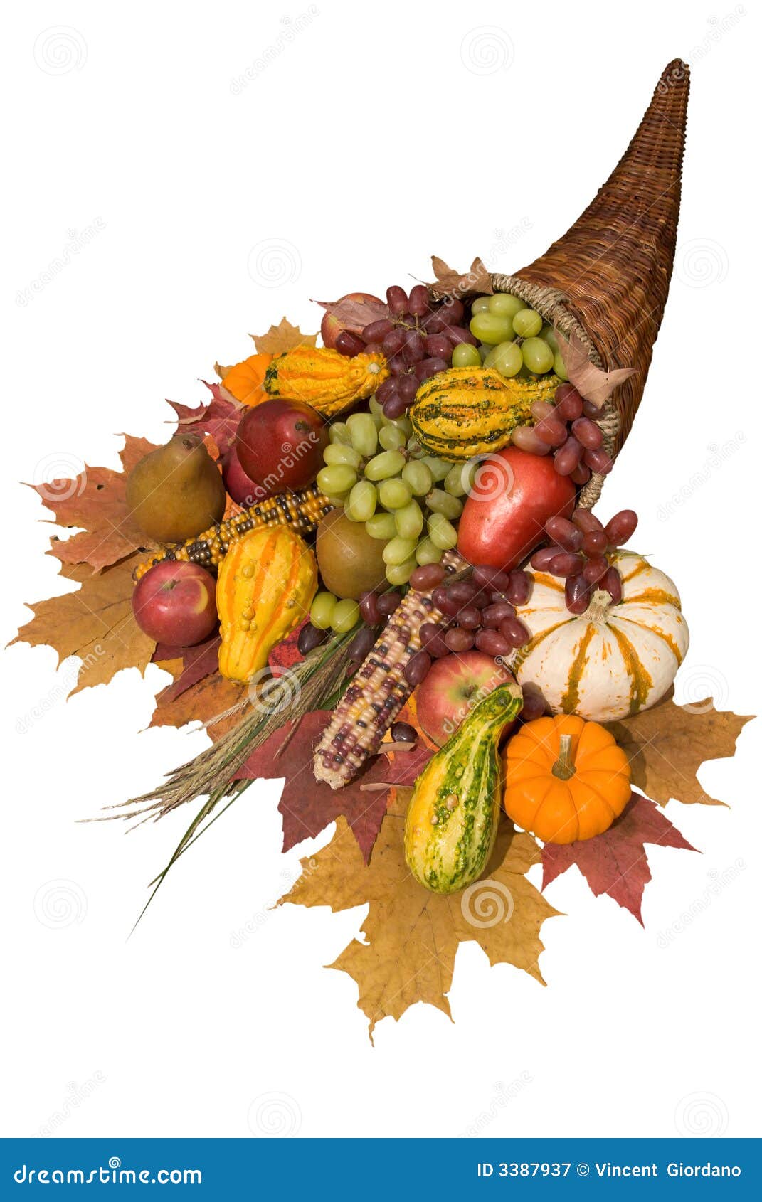 Cornucopia with Fall Harvest Stock Image - Image of healthy ...