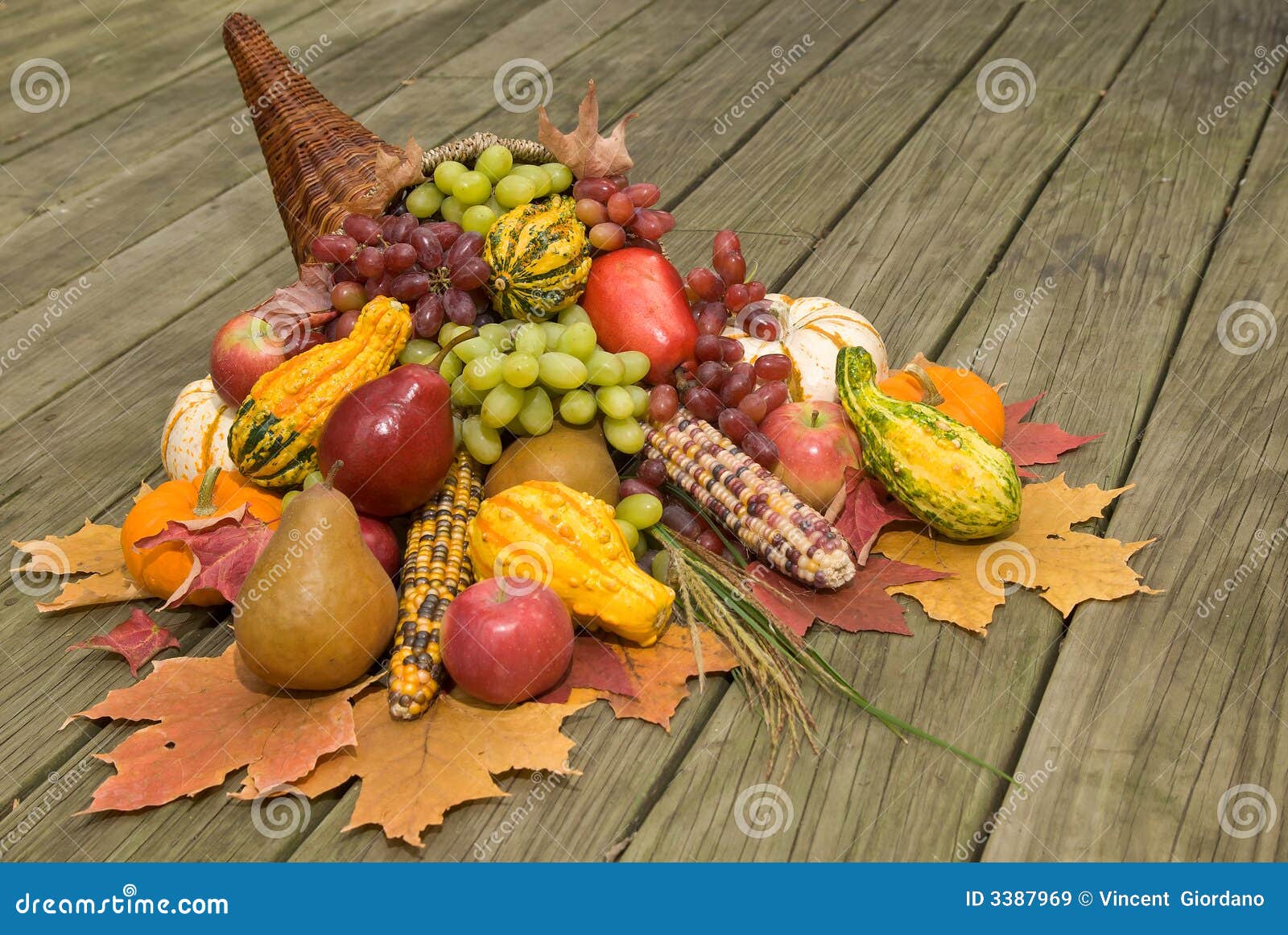 Cornucopia with Fall Harvest Stock Image - Image of floor, november ...
