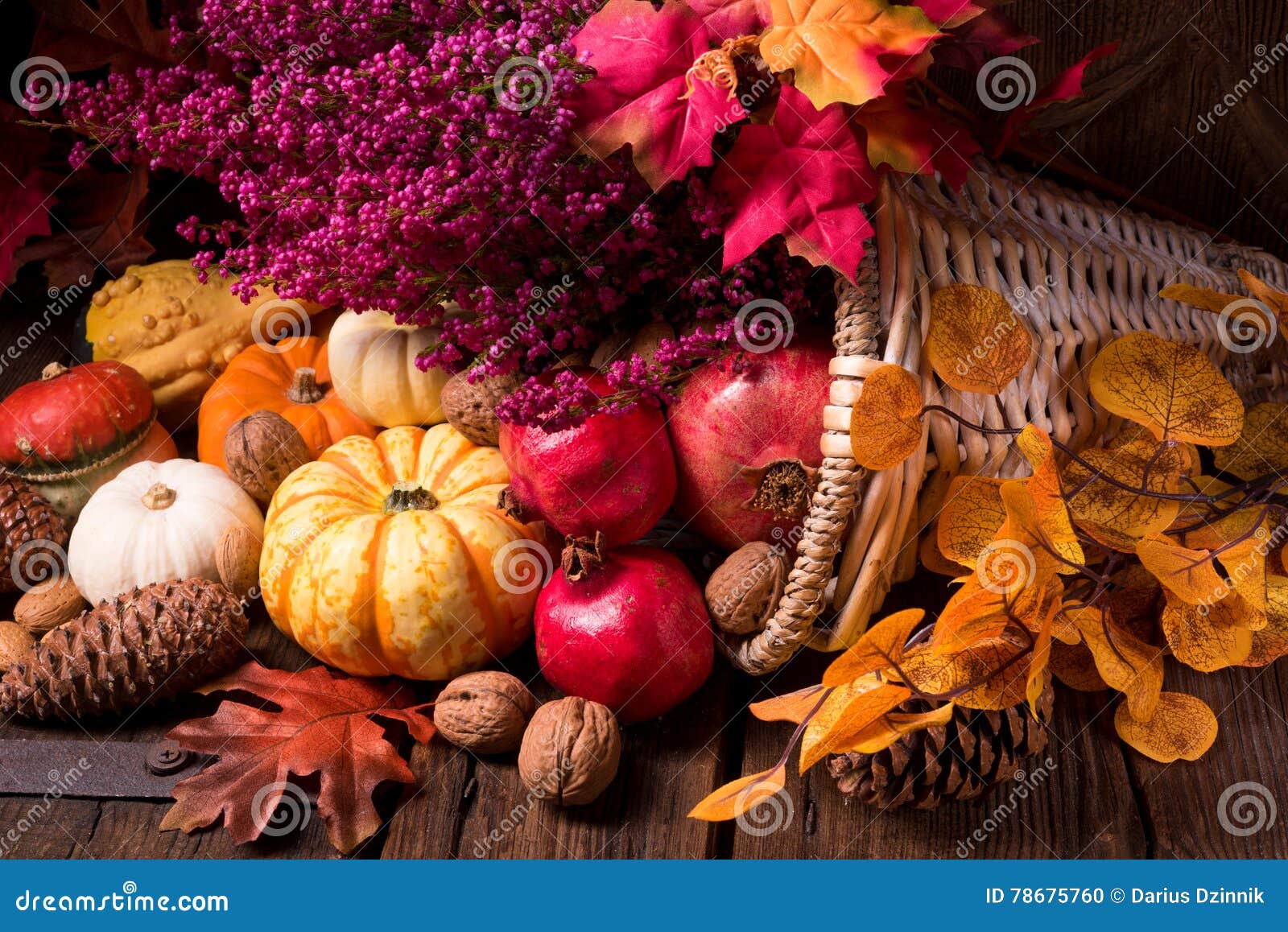 Cornucopia stock photo. Image of colors, fall, harvest - 78675760
