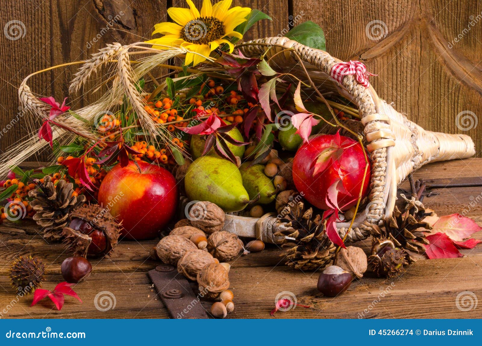 Cornucopia stock photo. Image of leaf, dried, holiday - 45266274