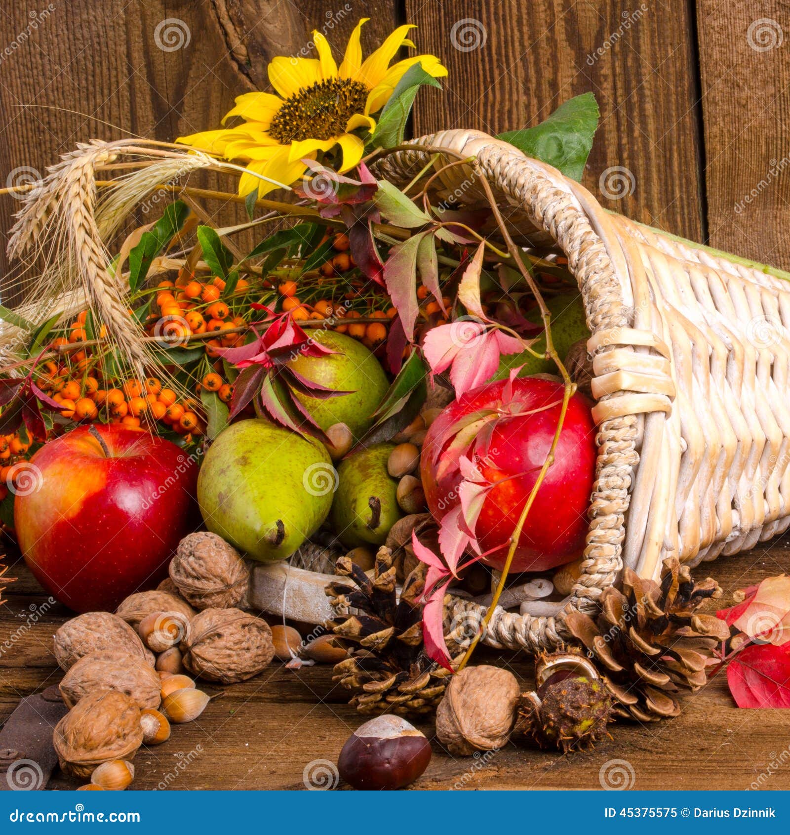 Cornucopia stock image. Image of fruit, cornucopia, celebration - 45375575
