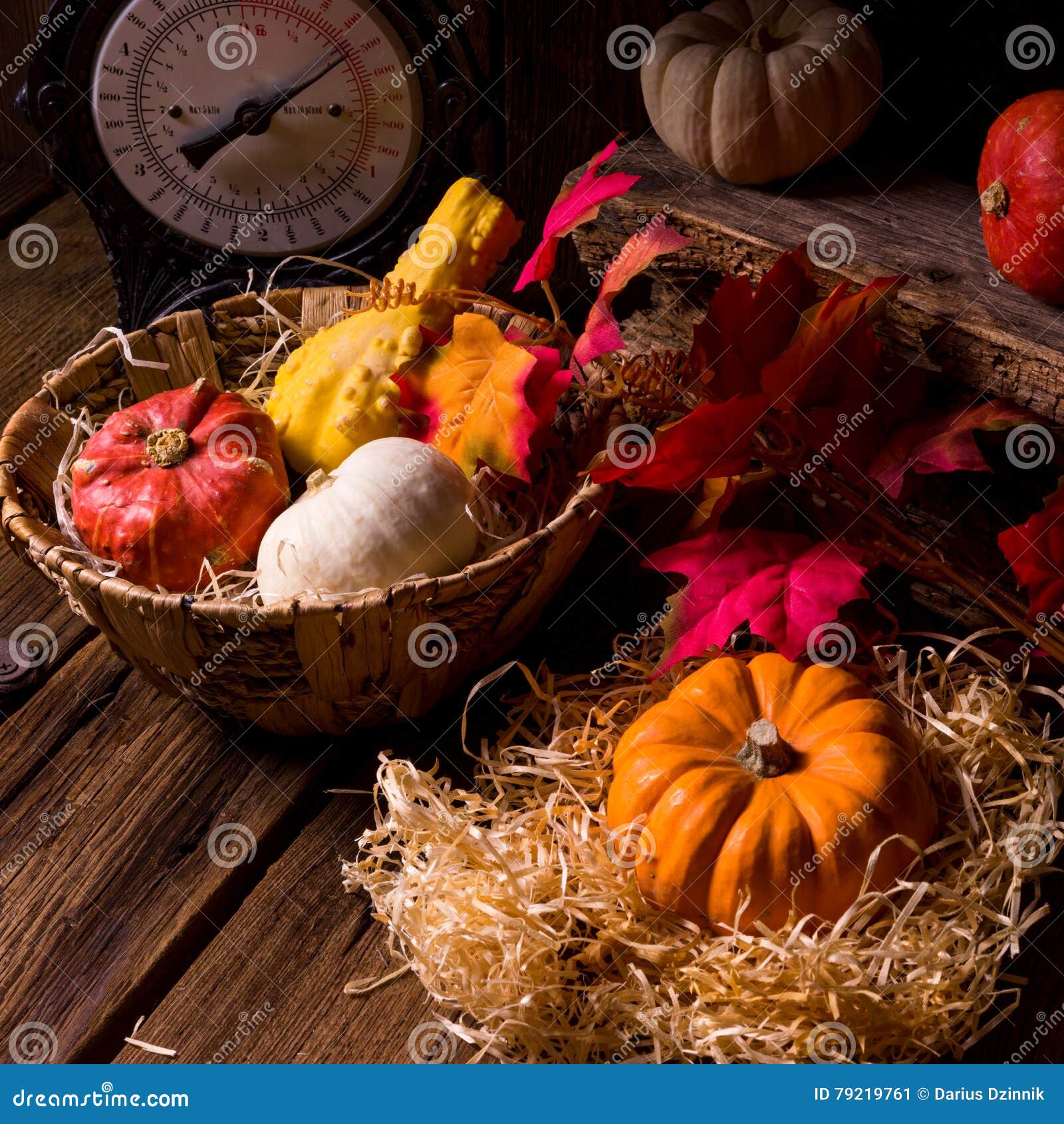 Cornucopia stock image. Image of horn, fall, gourds, gourd - 79219761