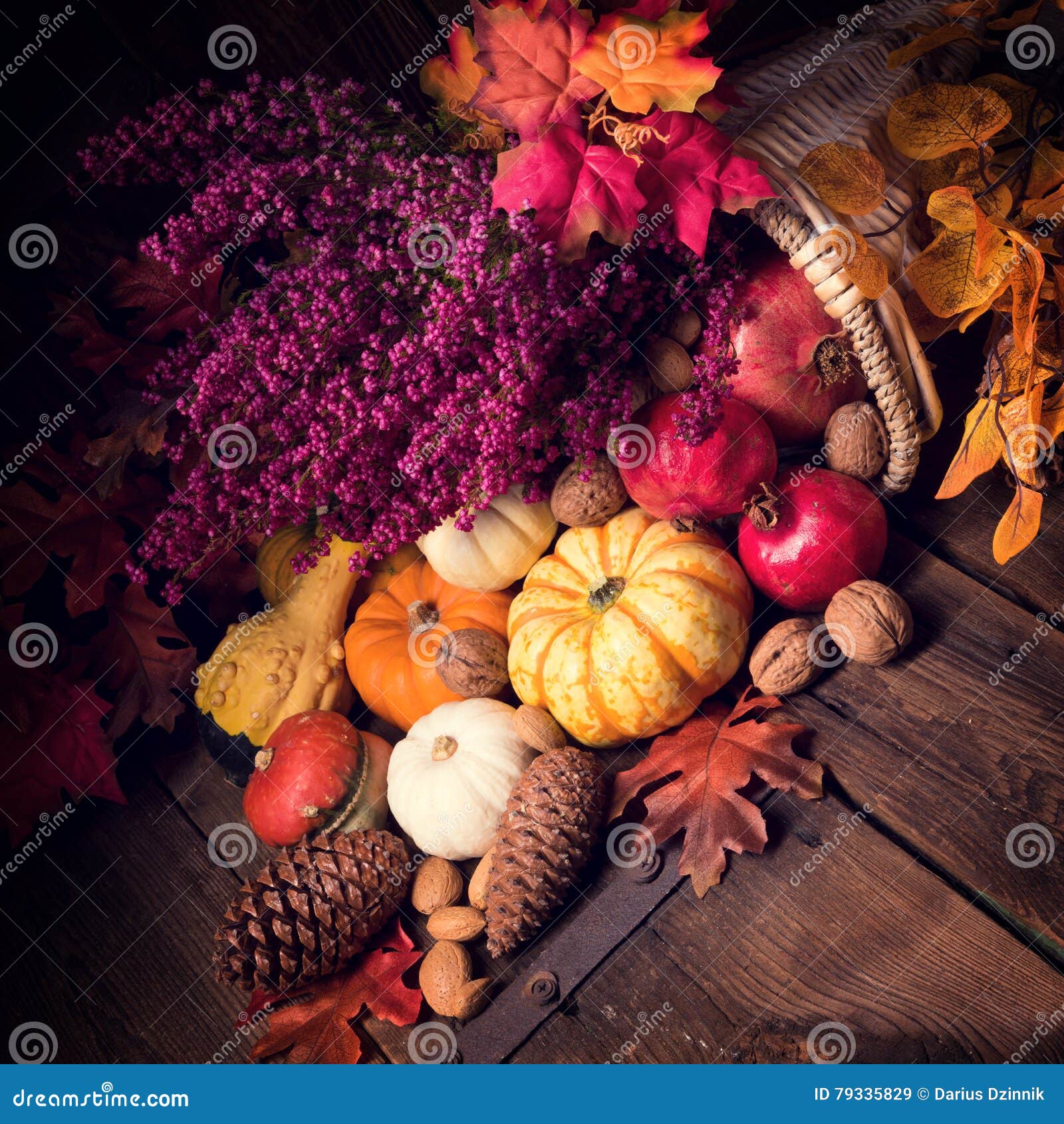 Cornucopia stock image. Image of leaves, gourd, gourds - 79335829