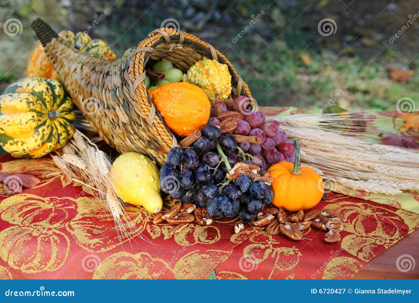 Cornucopia Harvest stock image. Image of cornucopia, harvest - 6720427