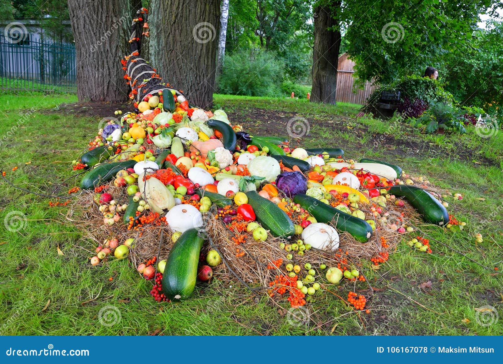 A Cornucopia Under a Tree of Ripe Fruits and Berries on the Lawn Stock ...