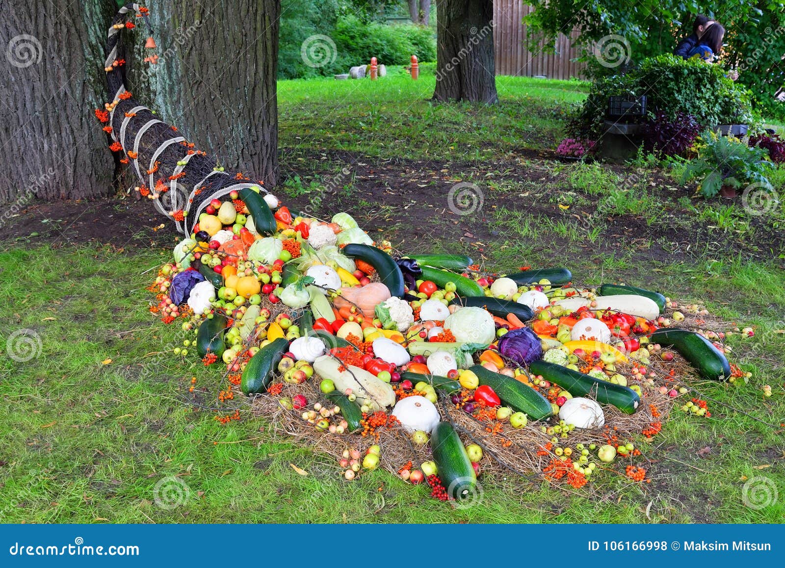 A Cornucopia of Vegetables on the Lawn. Editorial Stock Photo - Image ...