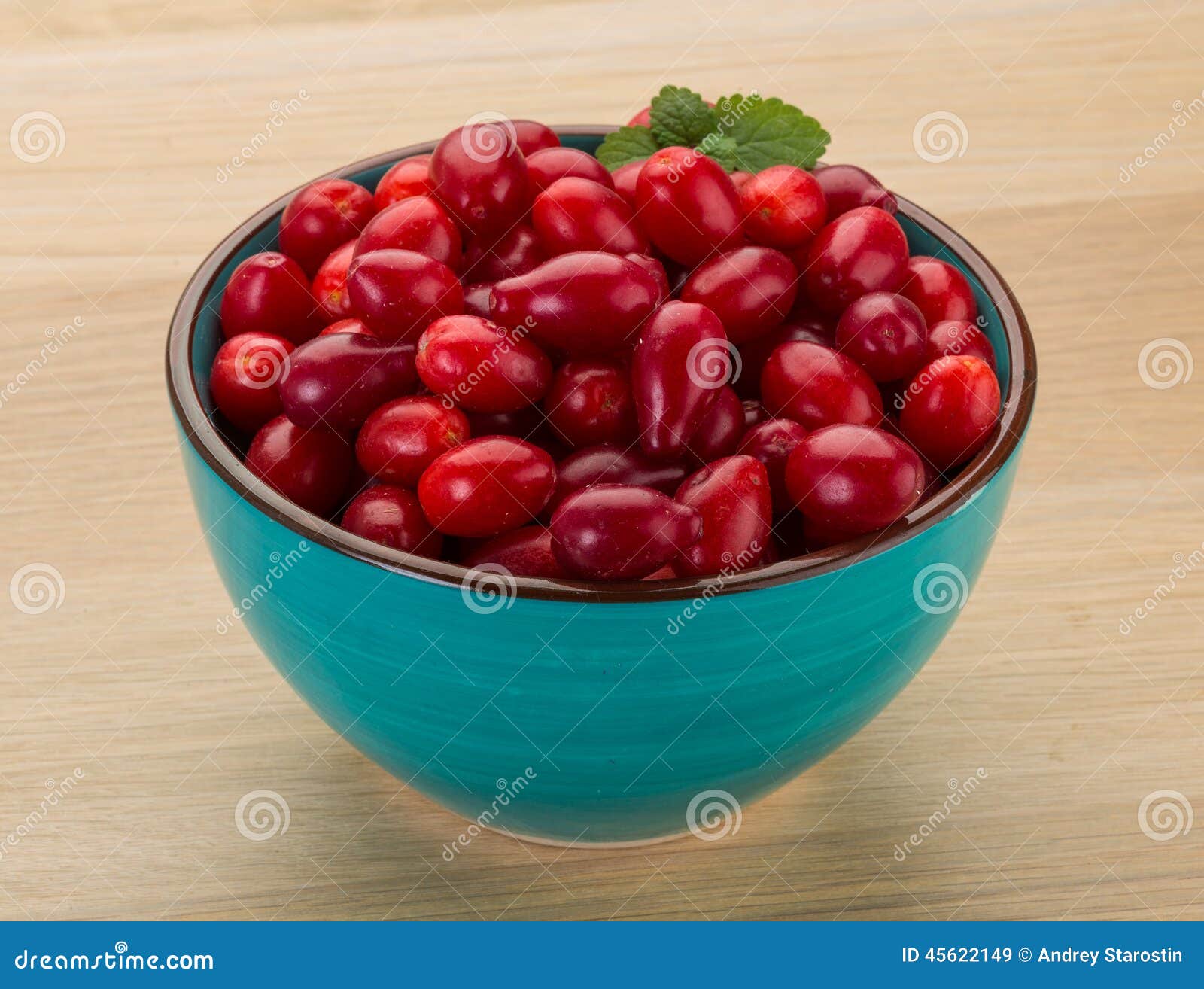 Cornus stock image. Image of dogwood, fruit, berry, dogberry - 45622149