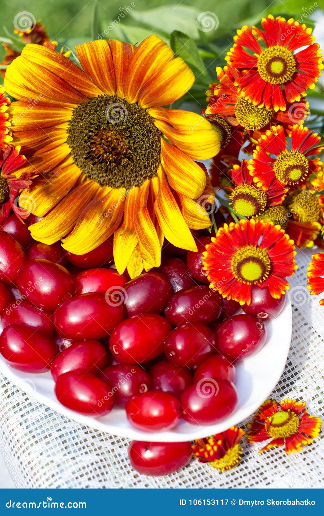 Cornus e flores na bacia imagem de stock. Imagem de girassol - 106153117