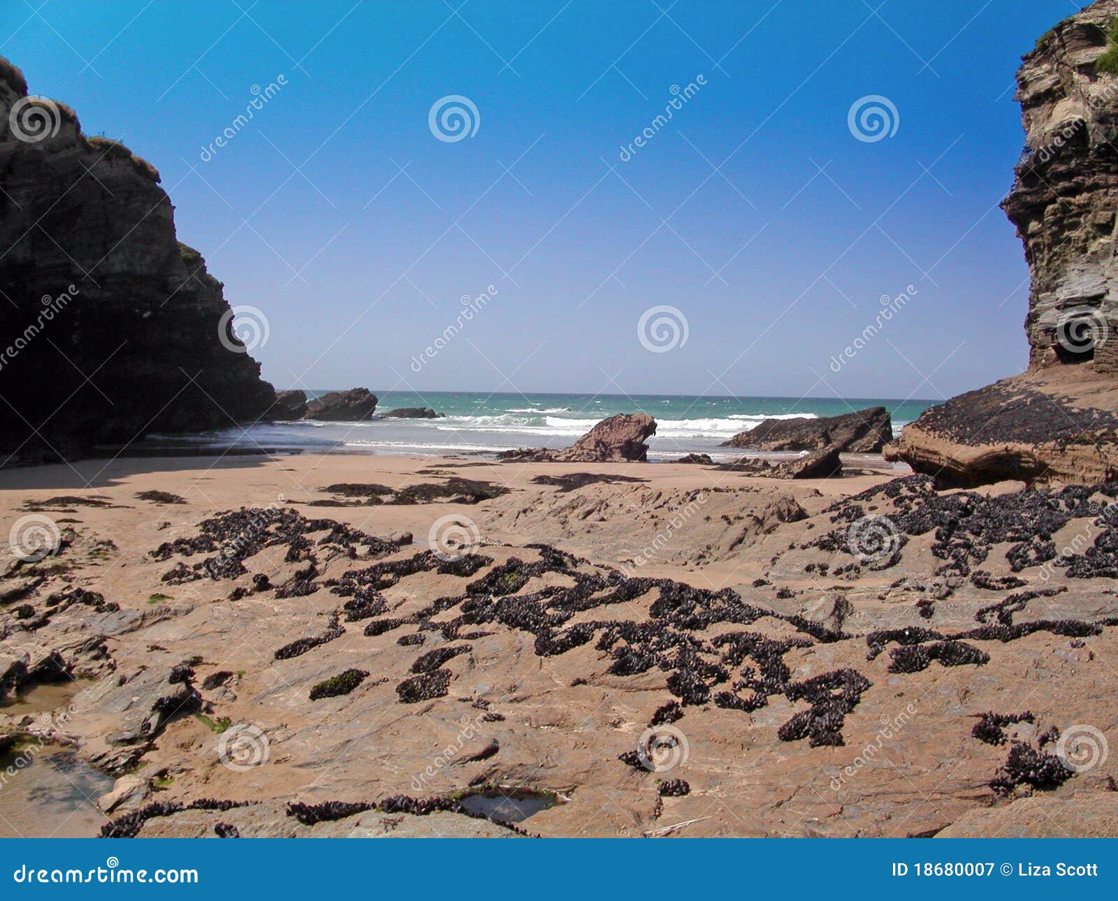 Cornwall beach 9 stock image. Image of palm, nature, aerial - 18680007