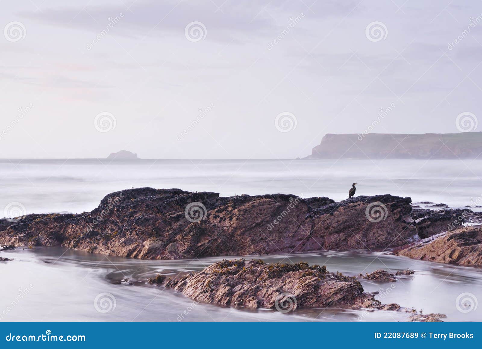 Cornwall Seascape and Perched Cormorant. Stock Image - Image of ...