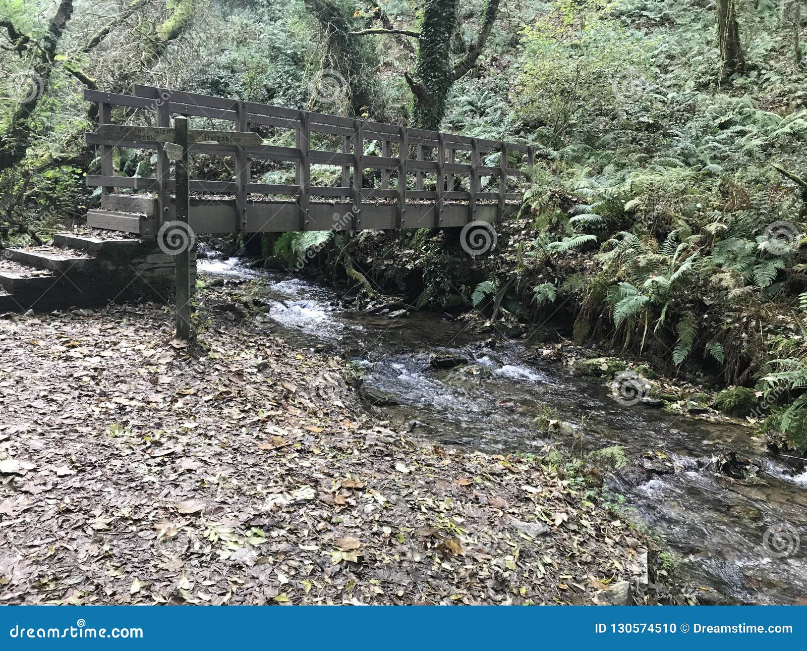 Cornwall waterfall stock photo. Image of walk, waterfall - 130574510