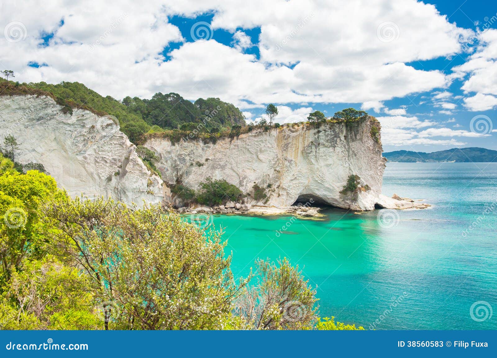 Coromandel stock image. Image of sand, stingray, attraction - 38560583