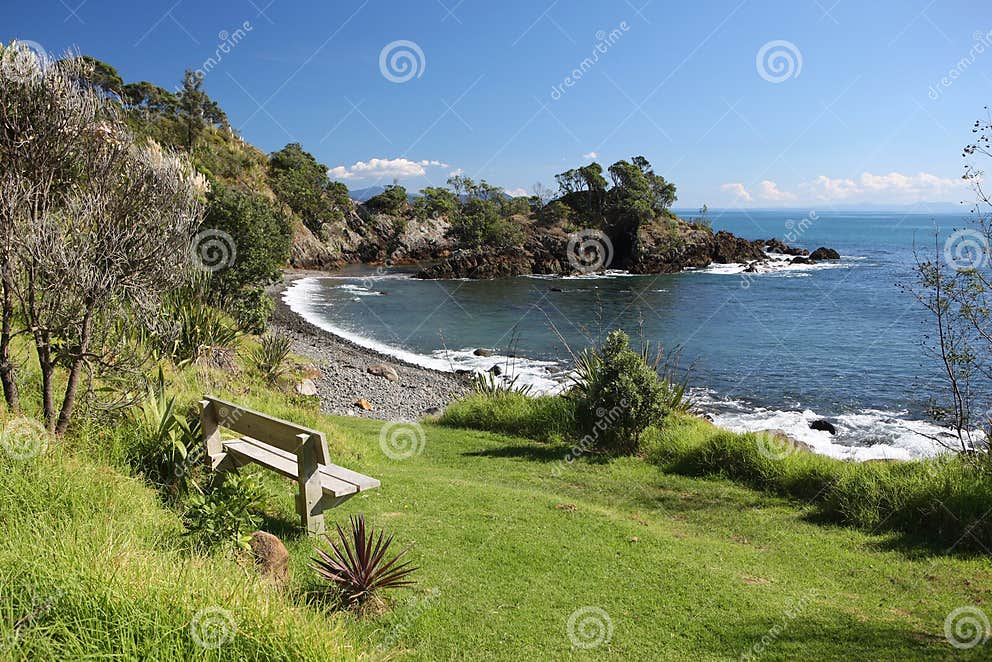 Coromandel Coast stock image. Image of coast, coastal - 6878699