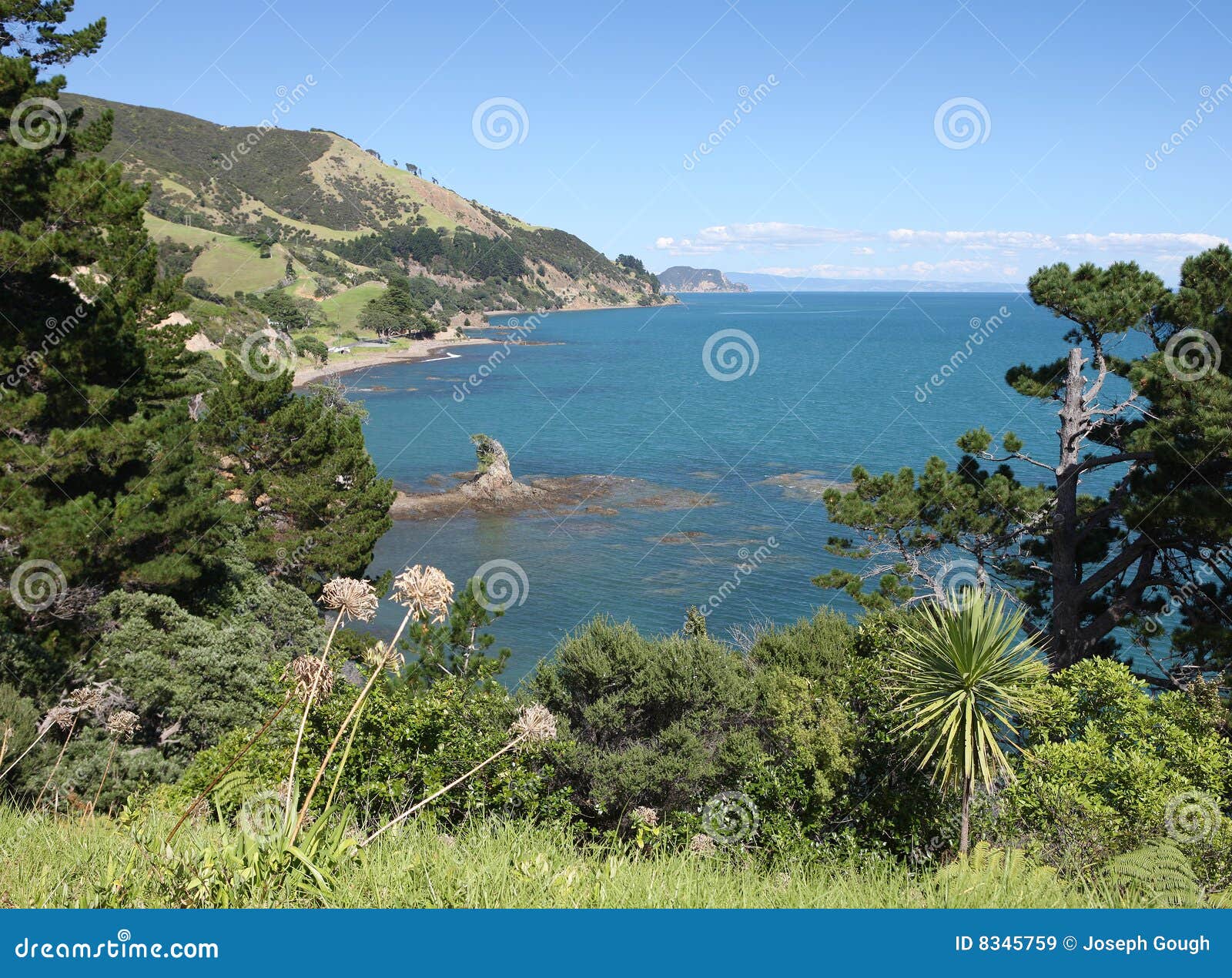 Coromandel Coast stock image. Image of beauty, view, coast - 8345759