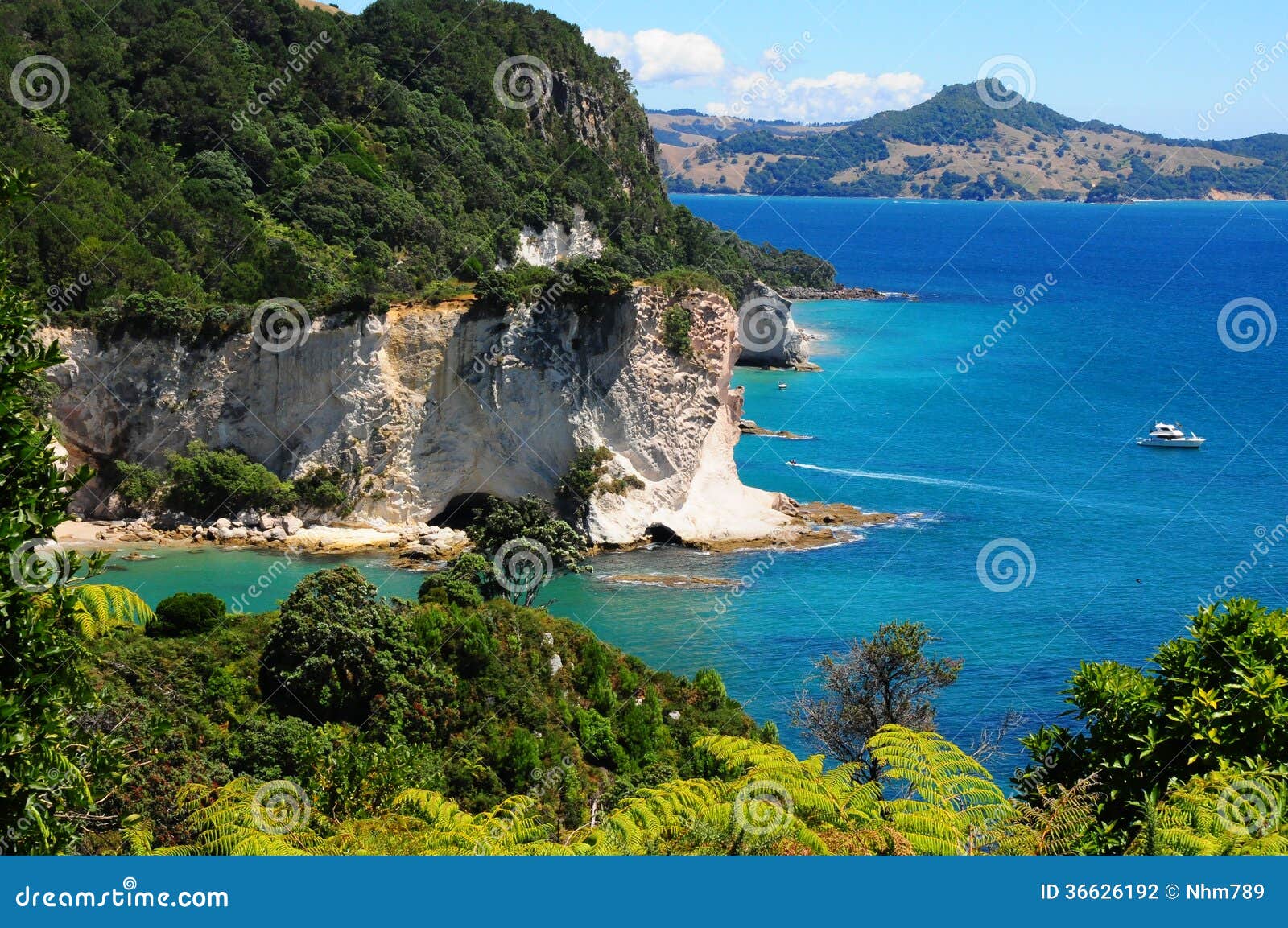 Coromandel stock photo. Image of landscape, coromandel - 36626192