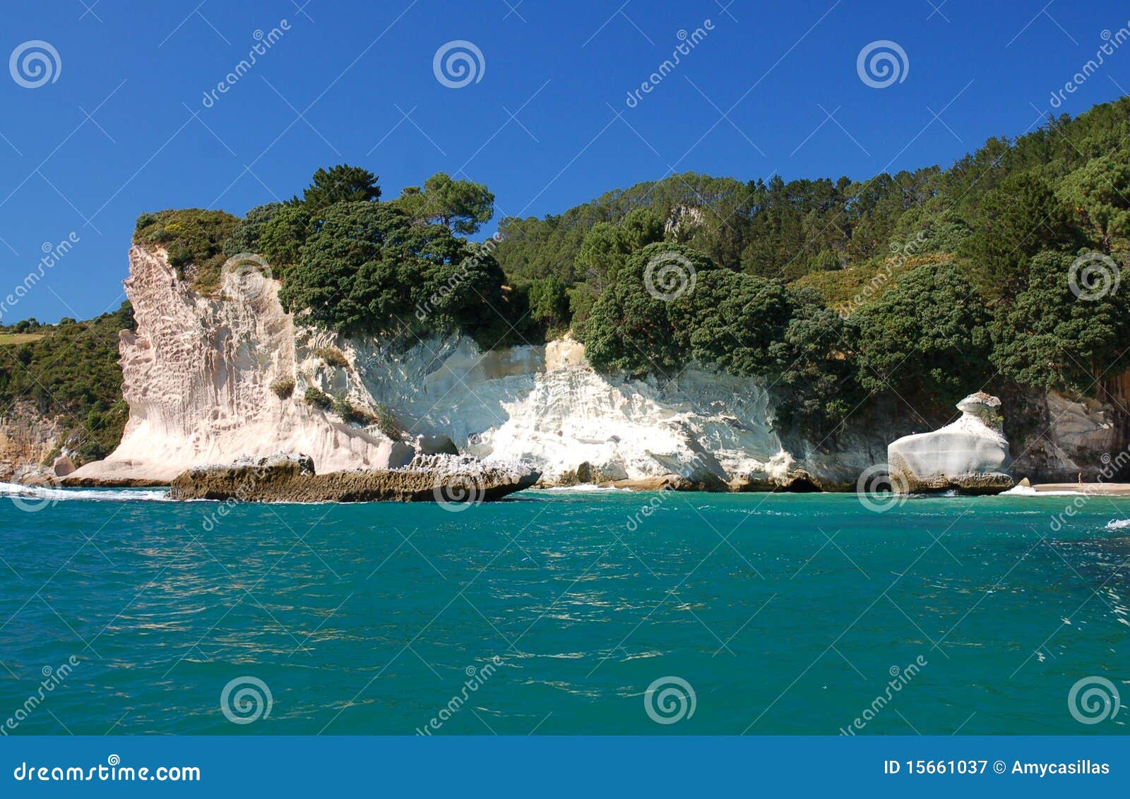 Coromandel Peninsula stock image. Image of outdoor, plenty - 15661037