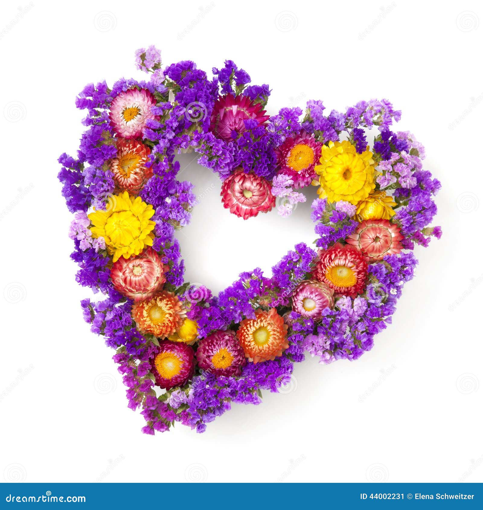 Corona Del Fiore a Forma Di Cuore Immagine Stock - Immagine di colorato ...