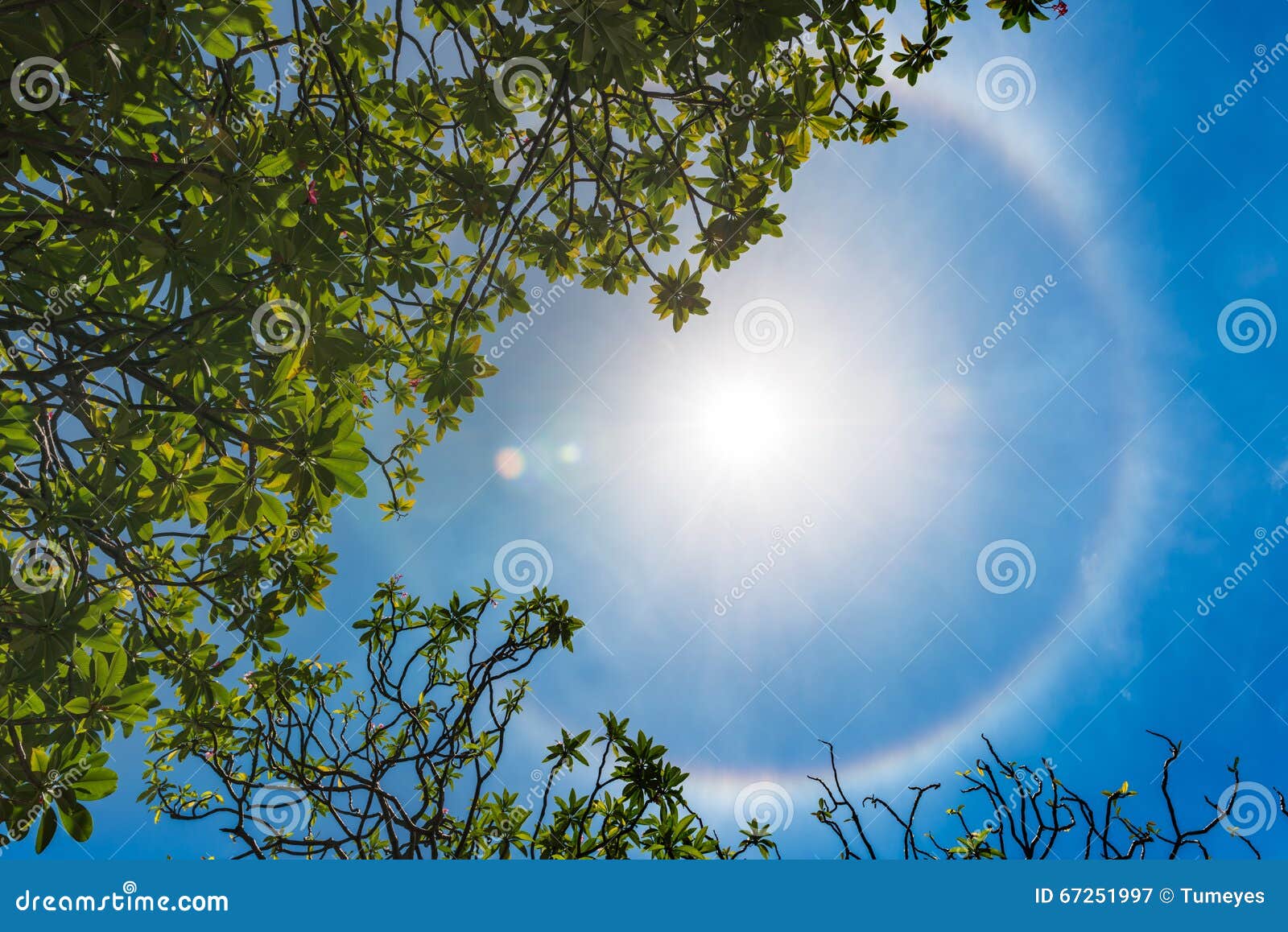 Corona ring of sun stock image. Image of globe, cloud - 67251997