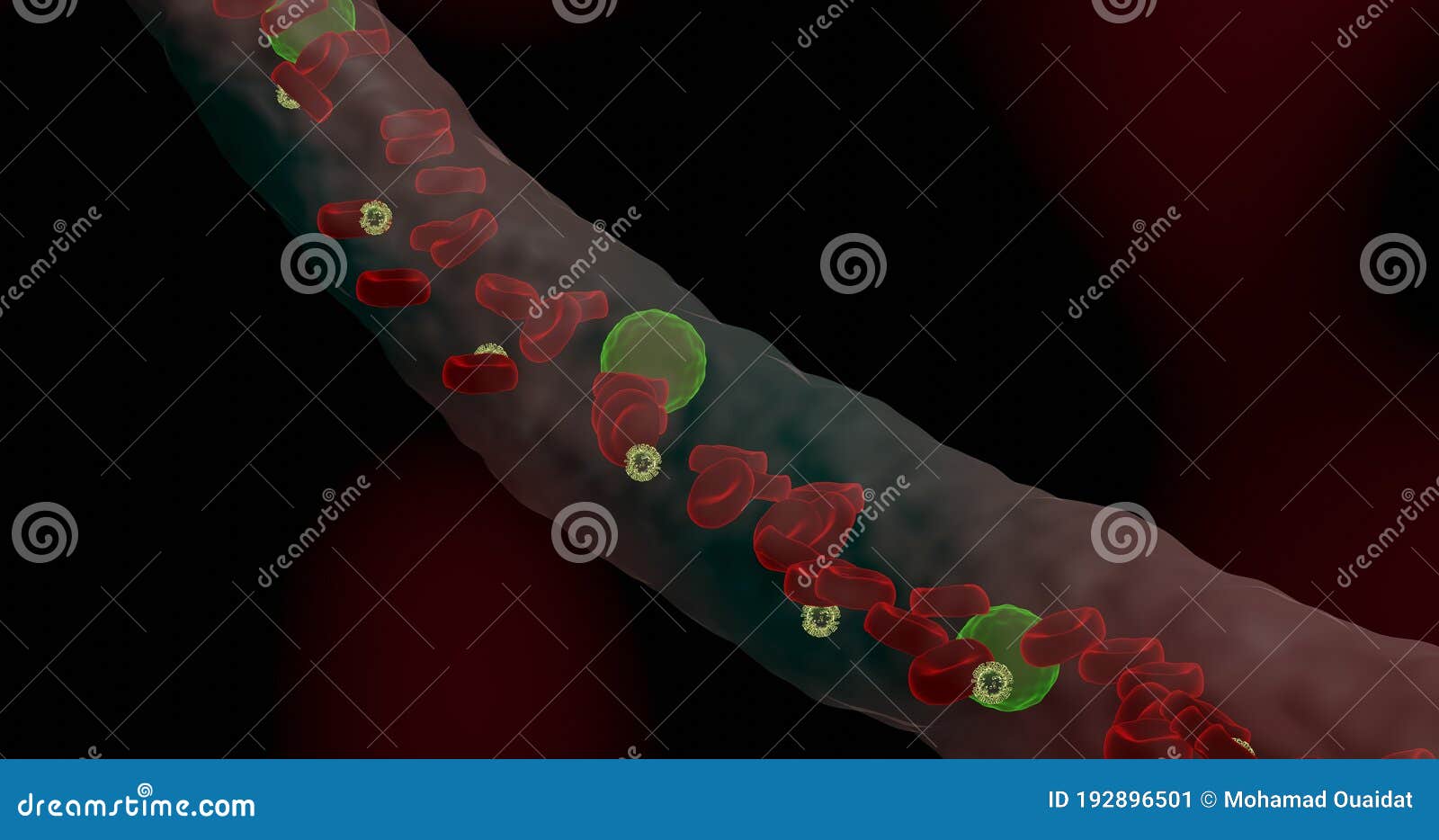 Corona Virus in the Blood Stream Stock Illustration - Illustration of ...
