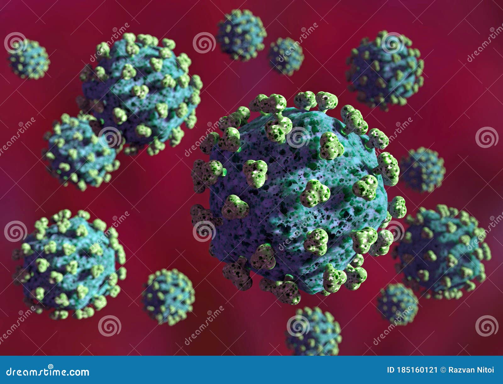 Coronavirus Cells Invading Host Organism Causing COVID Stock ...