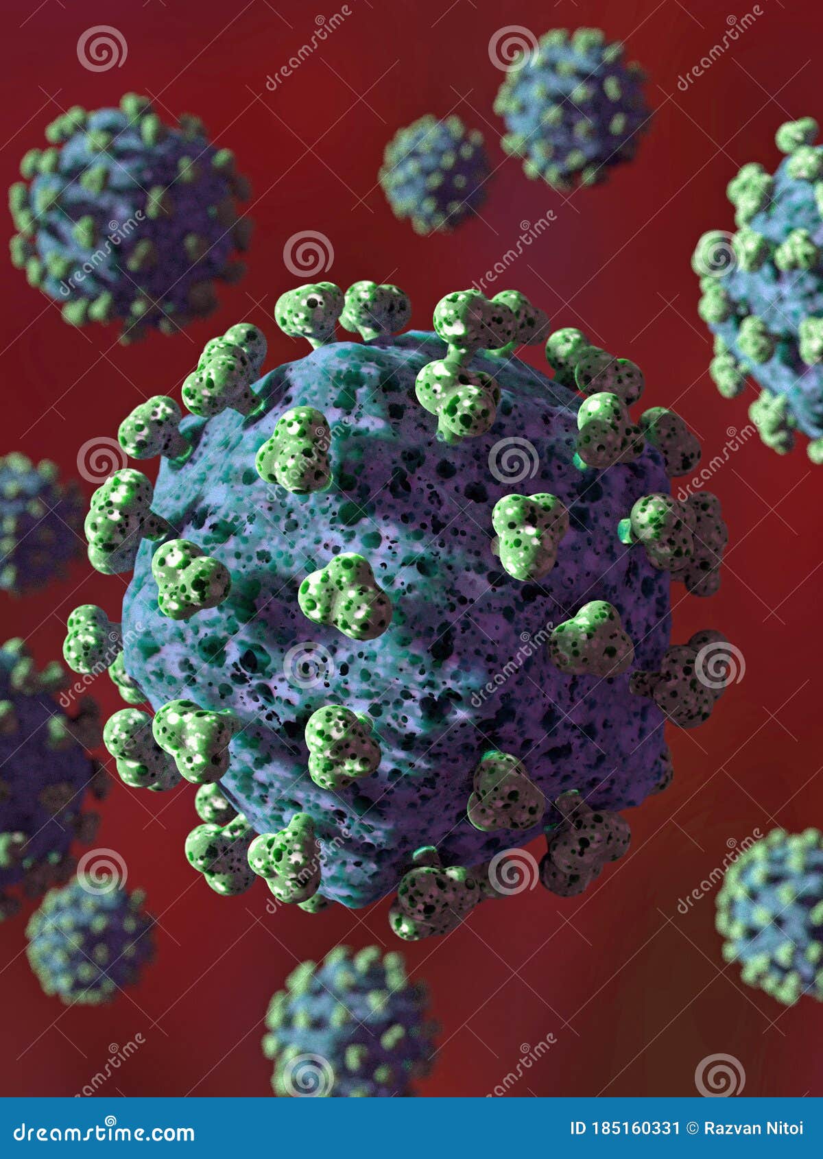 Coronavirus Cells Invading Host Organism Causing COVID Stock ...