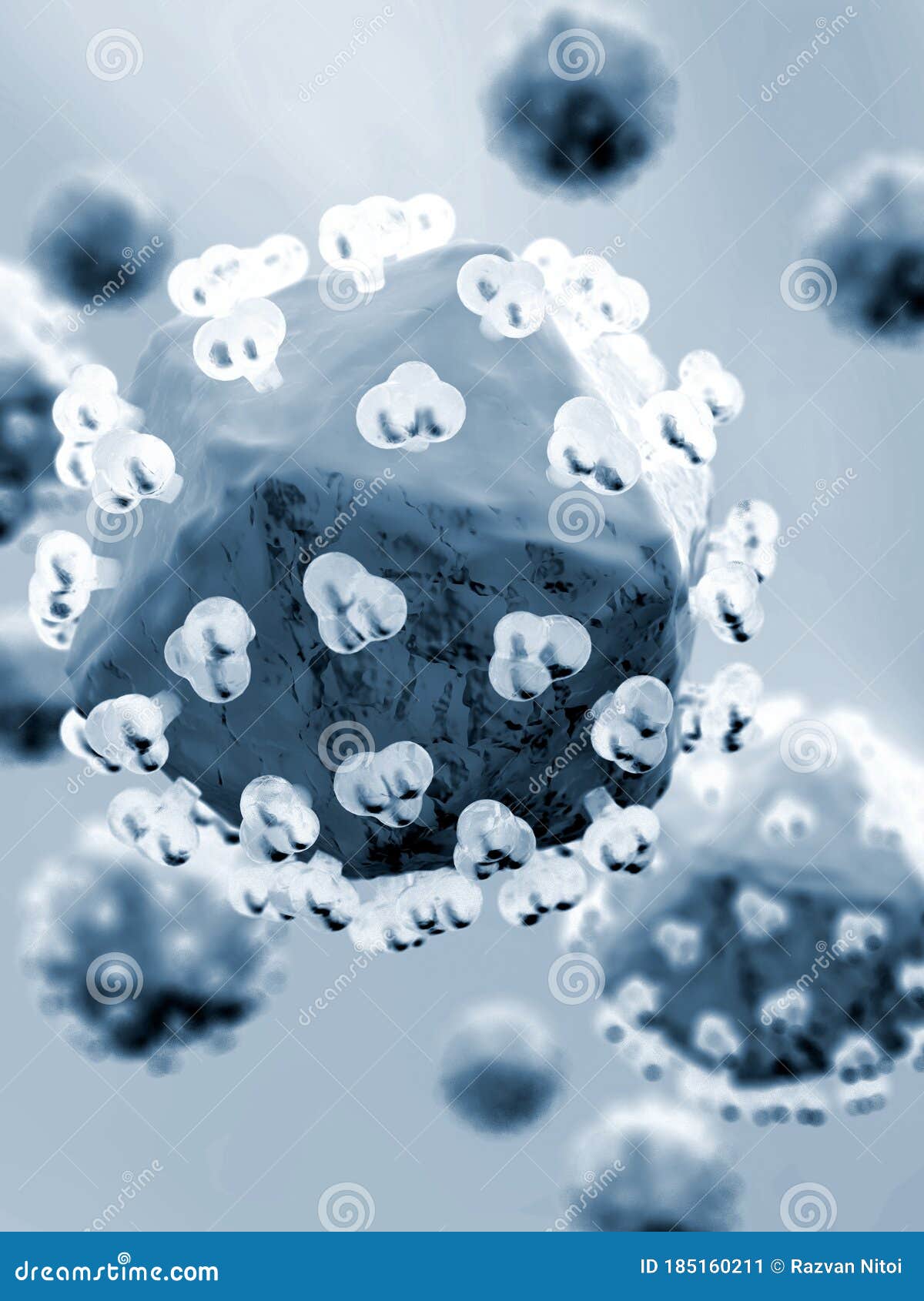 Coronavirus Cells Invading Host Organism Causing Disease Stock ...