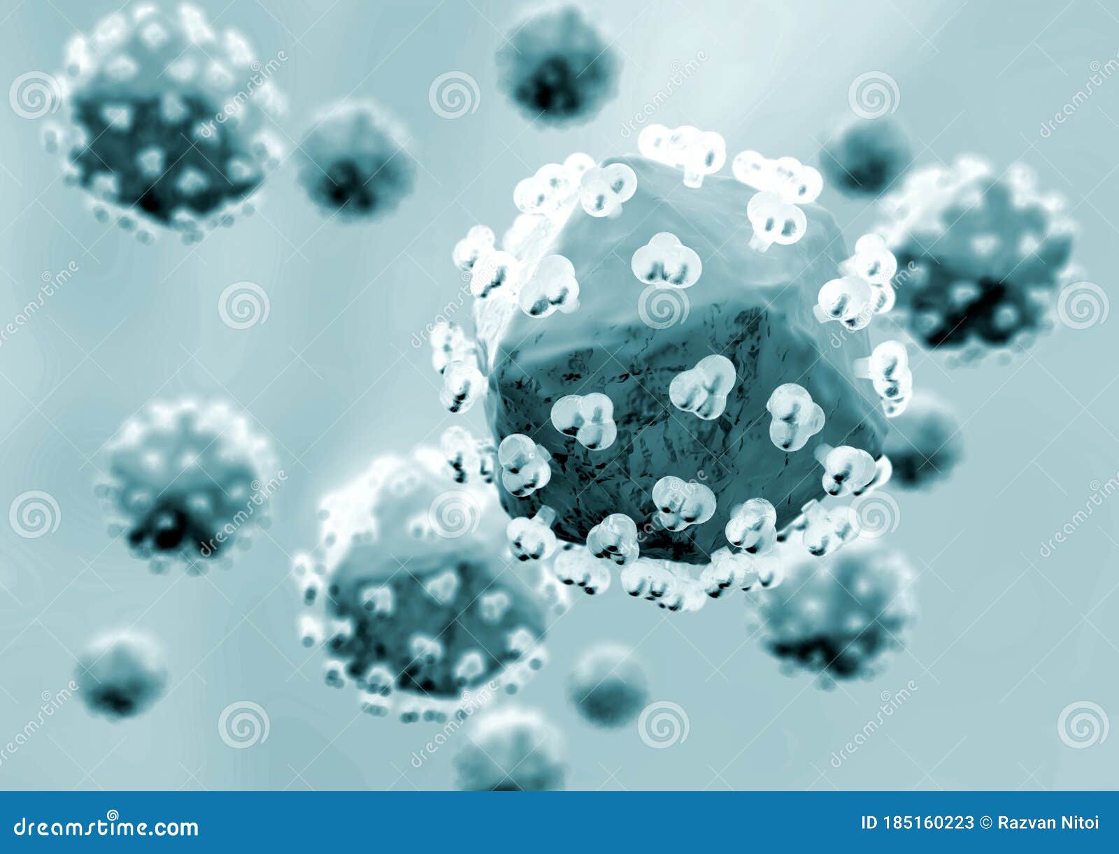 Coronavirus Cells Invading Host Organism Causing Disease Stock ...