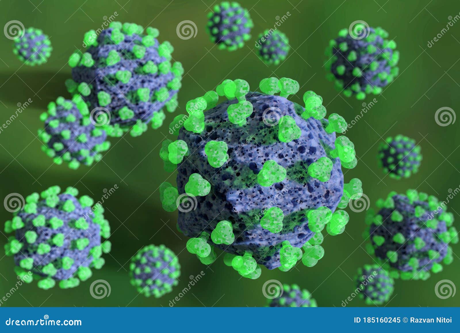 Coronavirus Cells Invading Host Organism Causing Disease Stock ...